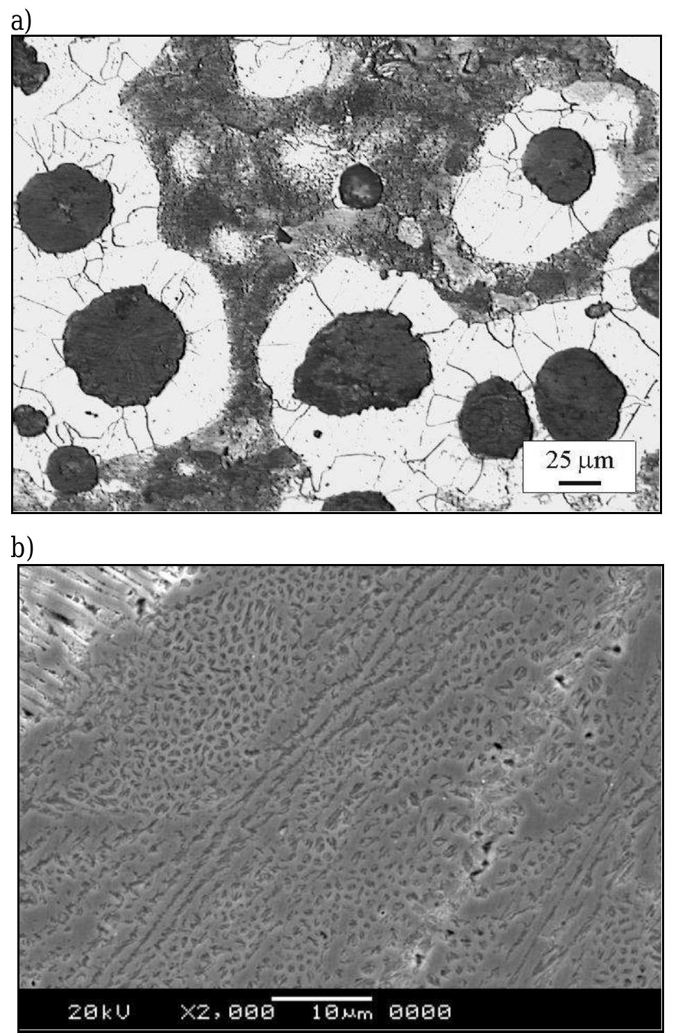 Typical microstructure of spheroidal graphite cast iron: in