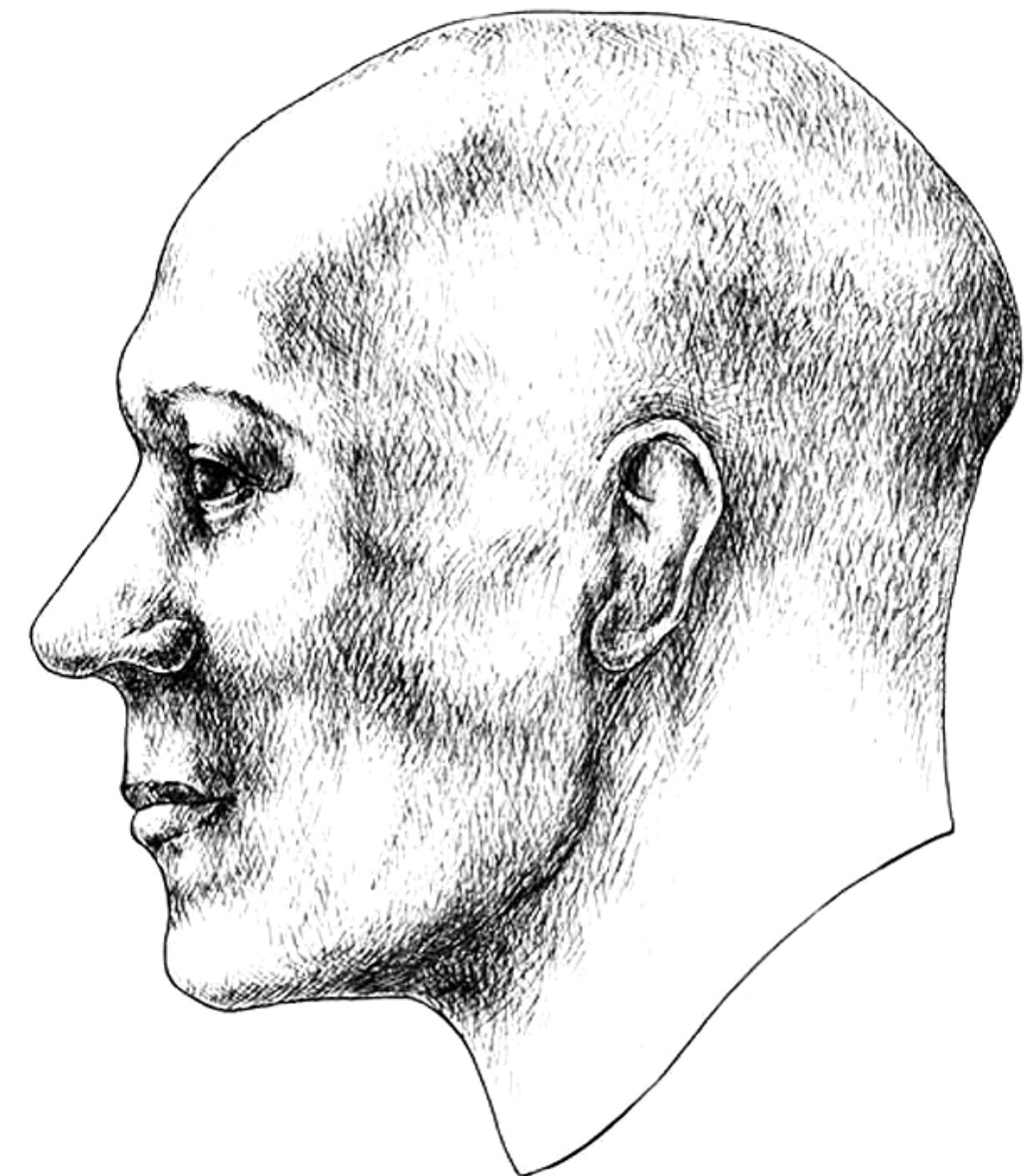 Graphic reconstruction of the face of burial 1, from the