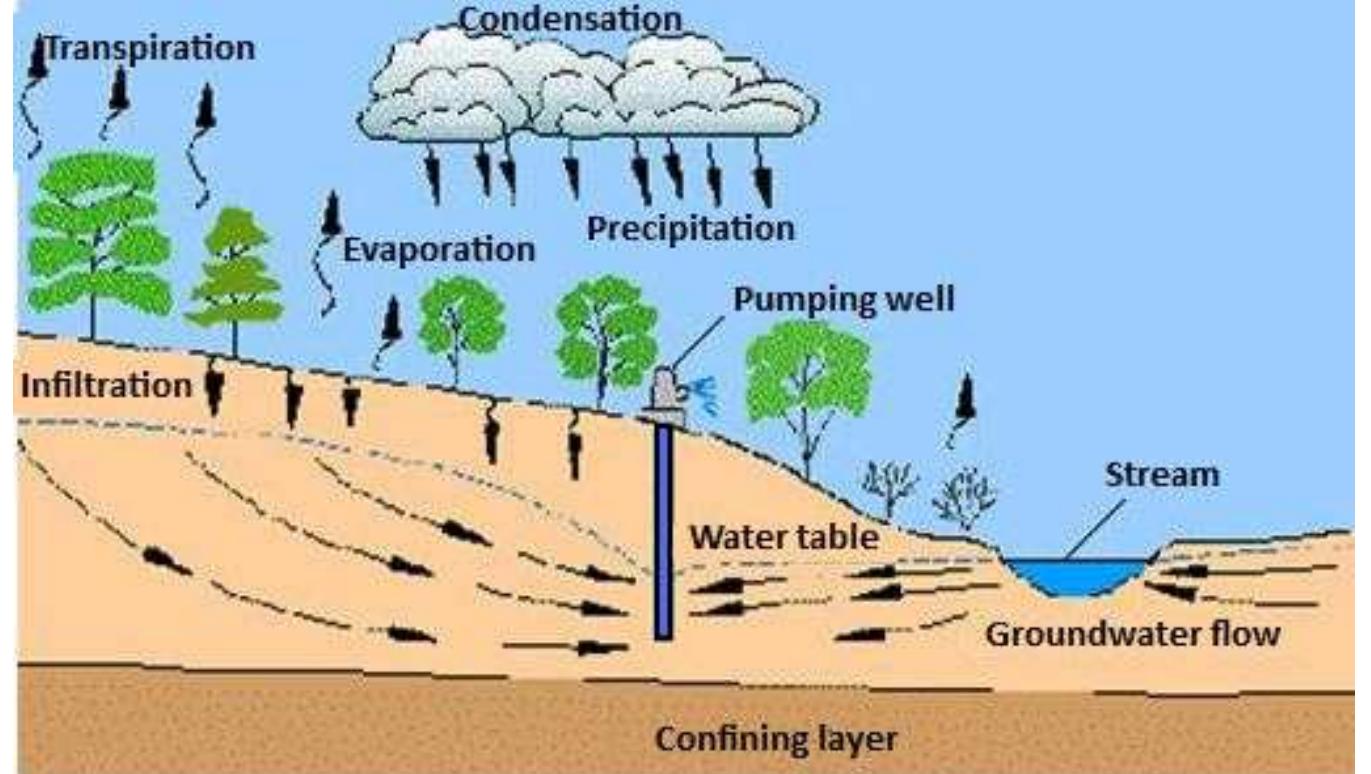 -5: the hydrological cycle (louise russell, 1999) magine