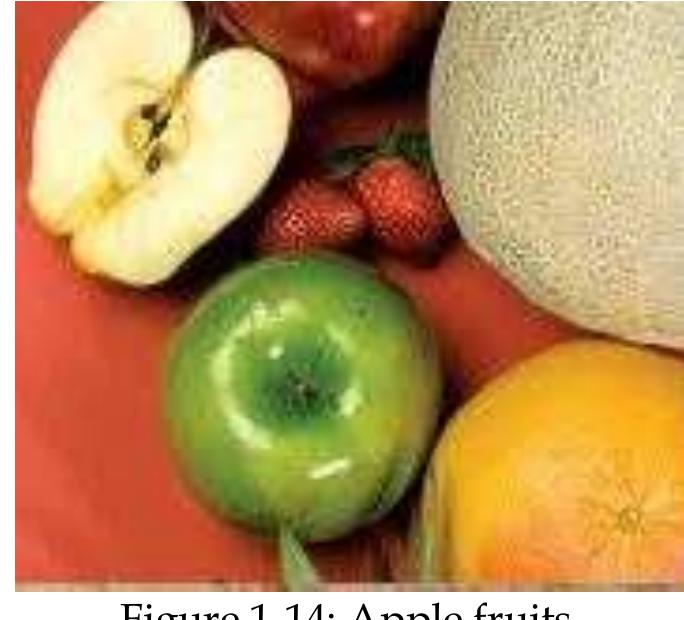 Apples: in an apple the white, edible parts of the petals