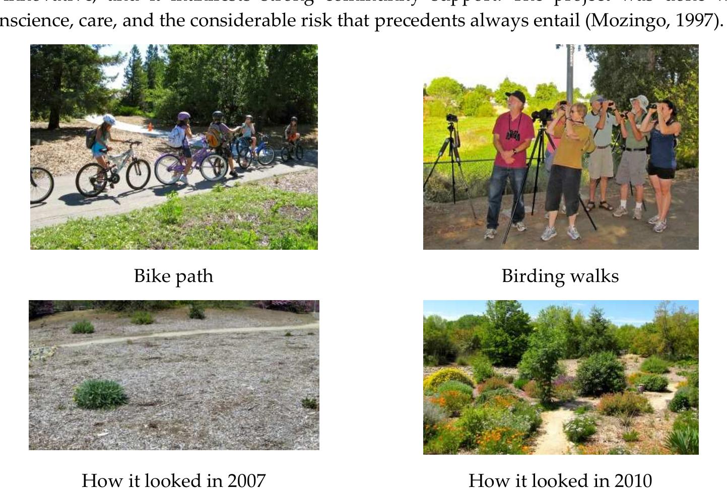 Figure 6 - Ecological Landscape Design