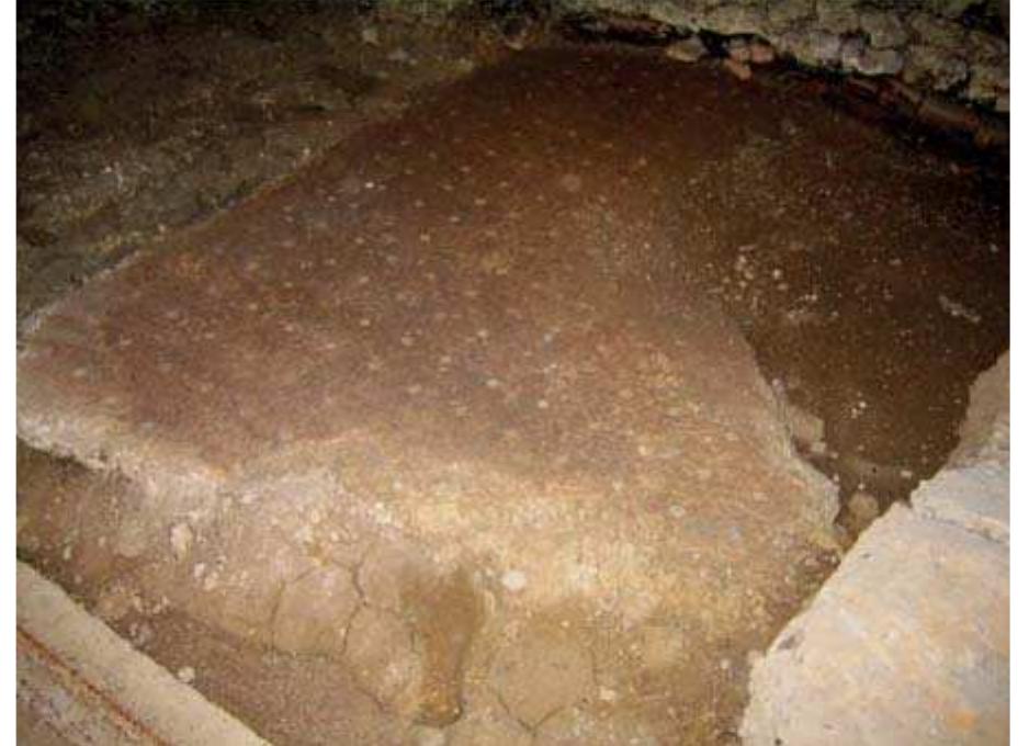 Fregellae baths; phase i; remains of opus signinum pavement