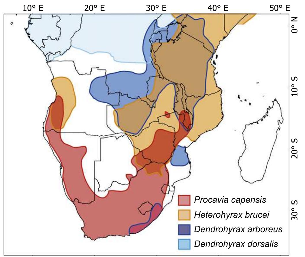 Map of the observed distribution of hyrax species in