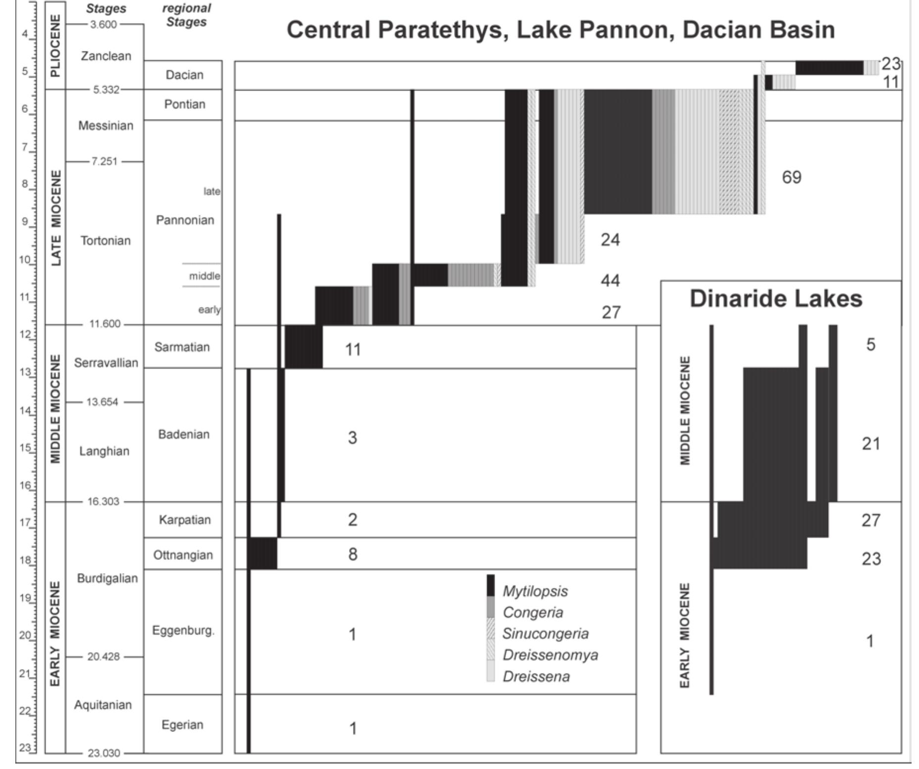 Miocene to pliocene chronostratigraphy (after gradstein et
