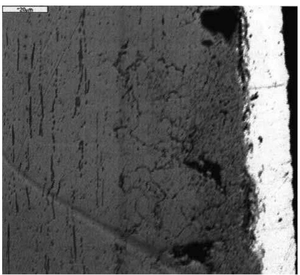 A sample of adhering gold foil from plate c 6569 with signs