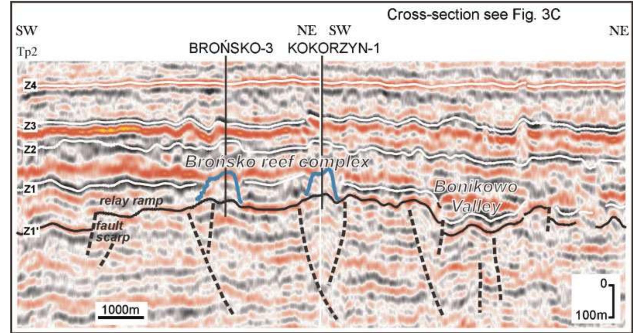 Seismic cross-section (a—a’) across the brorisko reef
