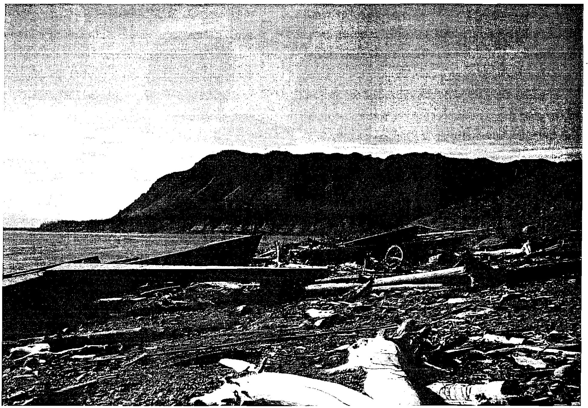 101/ marking the confluence of the bear and mackenzie