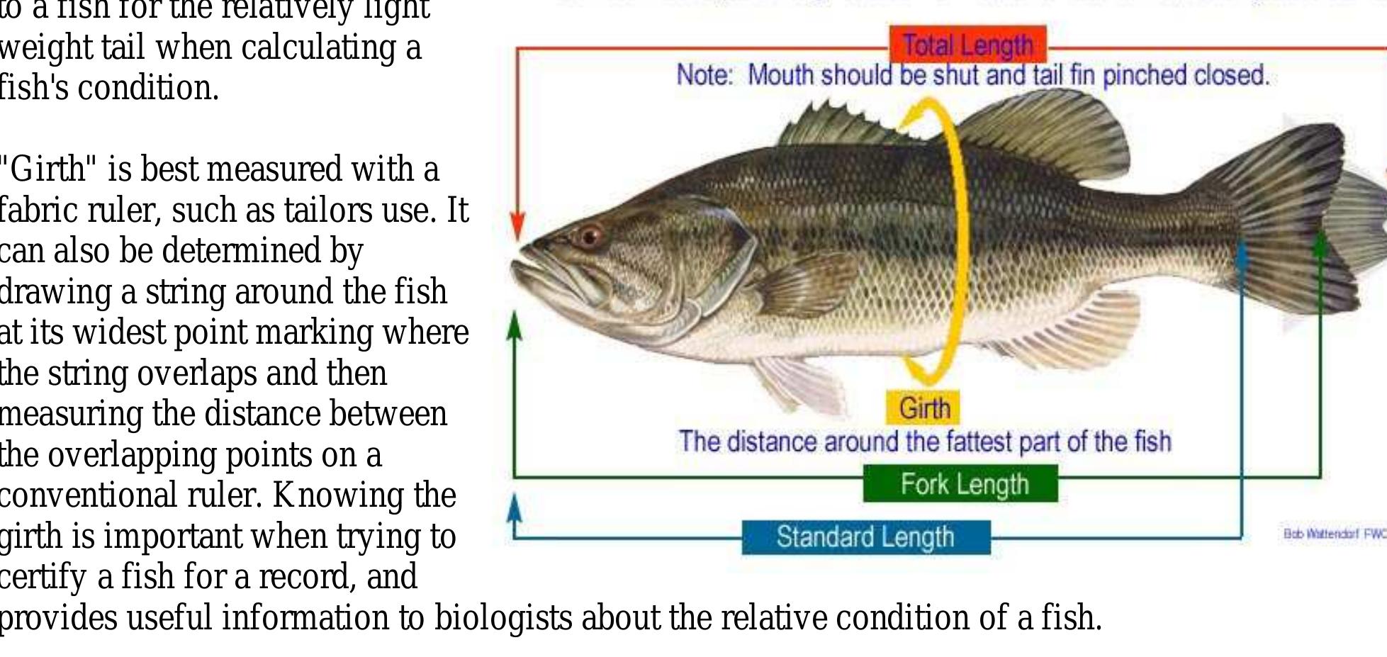 (PDF) FISHERIES BIOLOGY & MANAGEMENT: Fish Anatomy