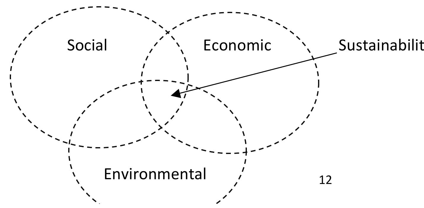 - the triple bottom line model of sustainability absent in
