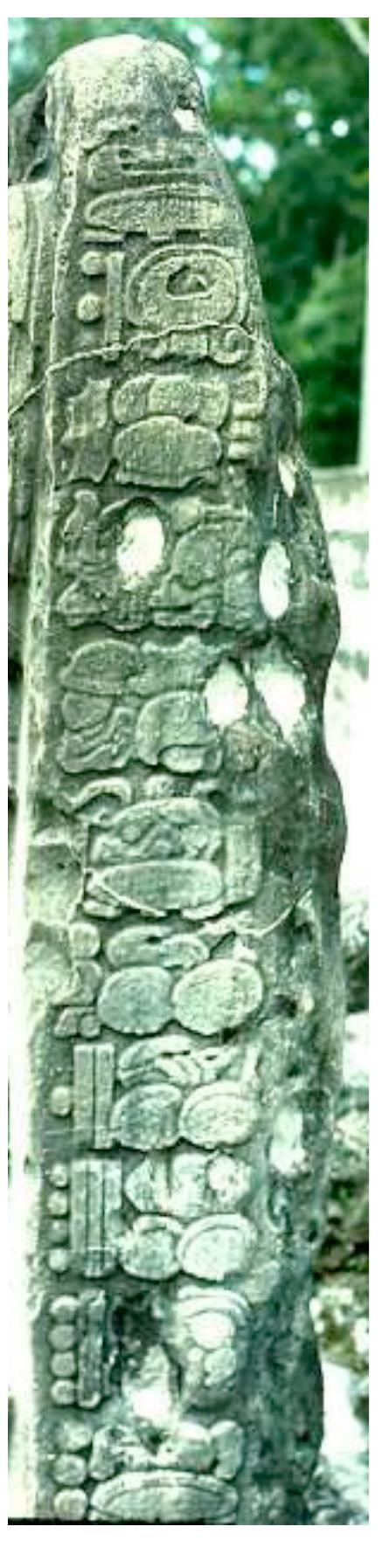 Drawing: david freidel and linda schele “maya cosmos” (1993)