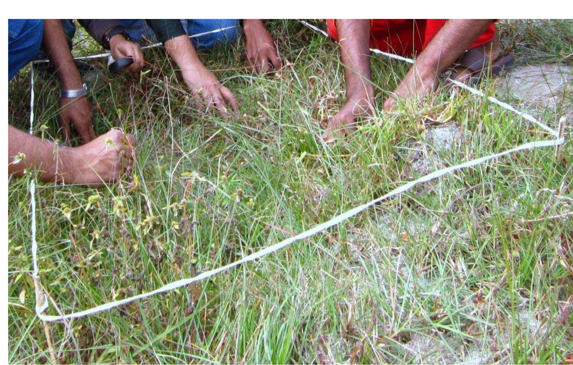 (PDF) ECOLOGICAL STUDY SAMPLING TECHNIQUES IN FIELD ECOLOGY QUADRAT ...