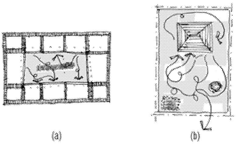 Circulation diagram of center-yard houses (a) and