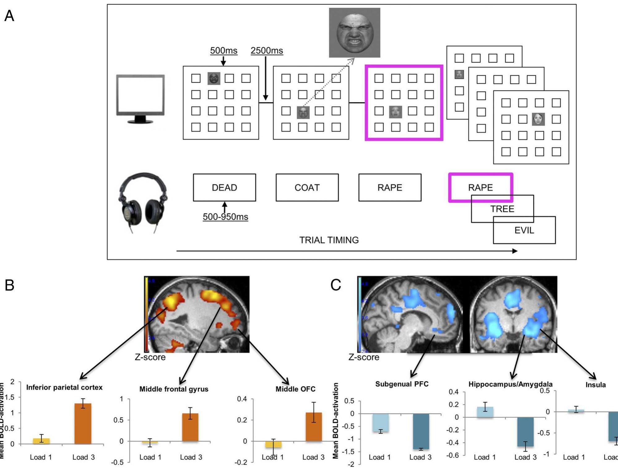 A, task design of the ewm training (dual n-back) task for a