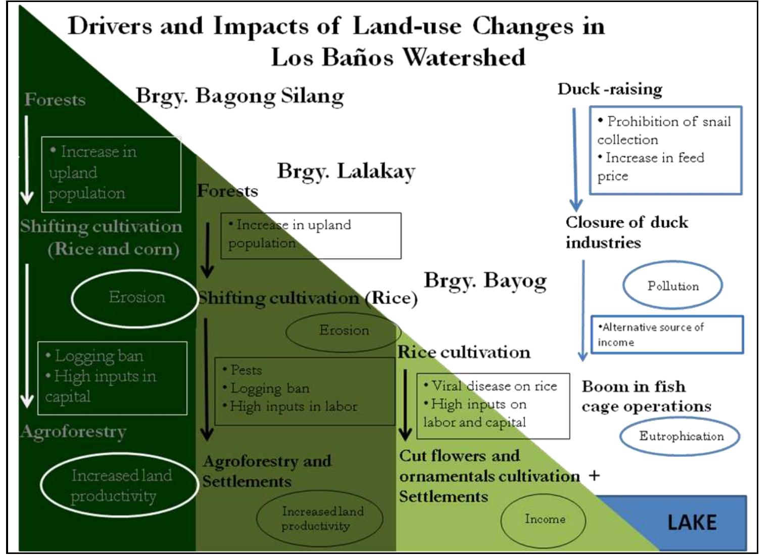Analysis of the drivers and impacts of land-use change.