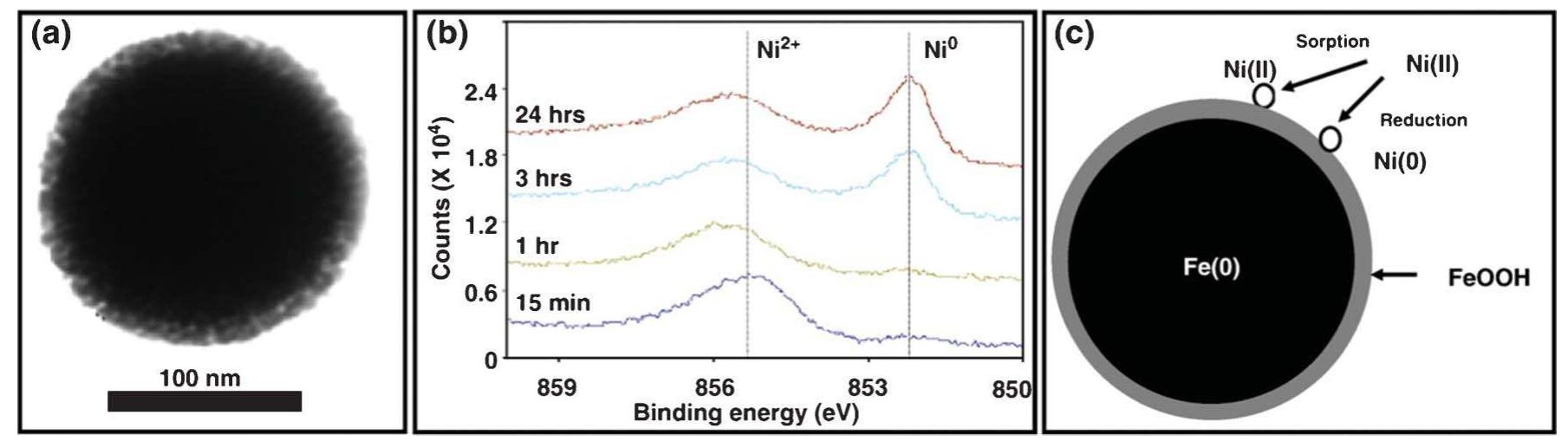 (a) tem images of iron nanoparticles, (b) hr-xps survey on