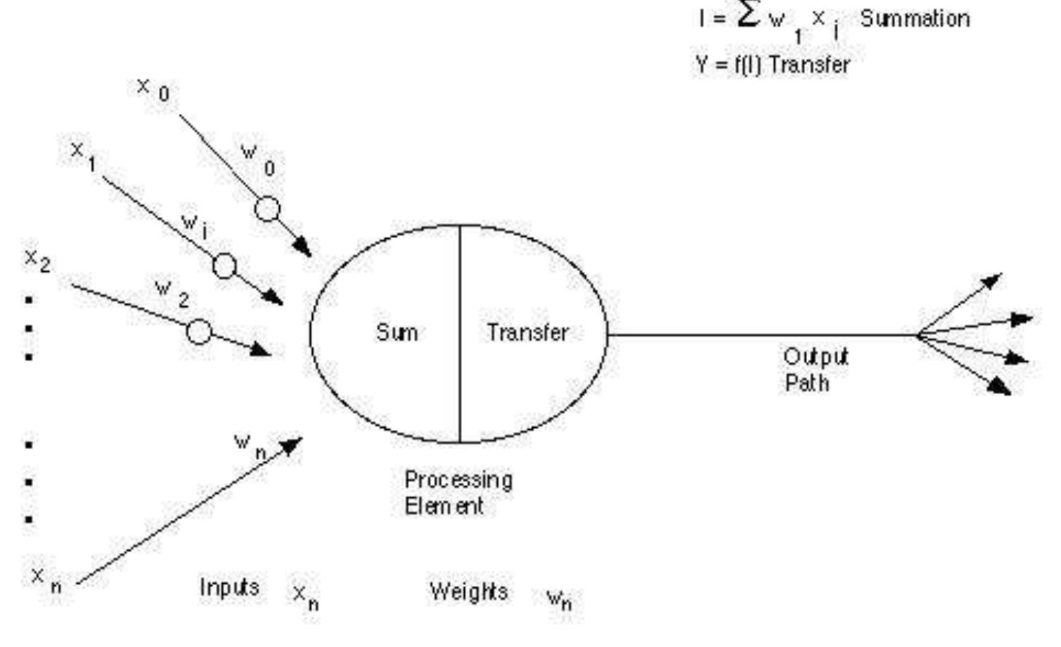 Neurons. the figure below shows the basic structure of an