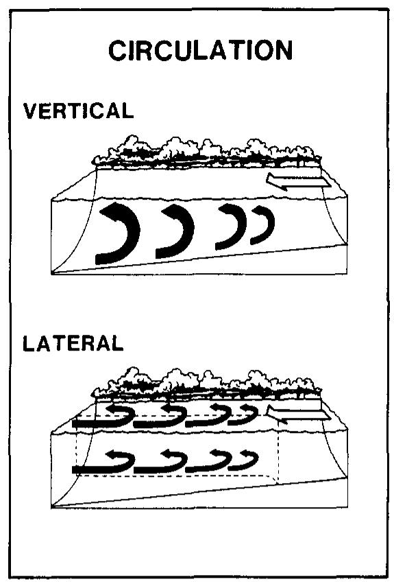 Schematic circulation types, where the white arrows indicate