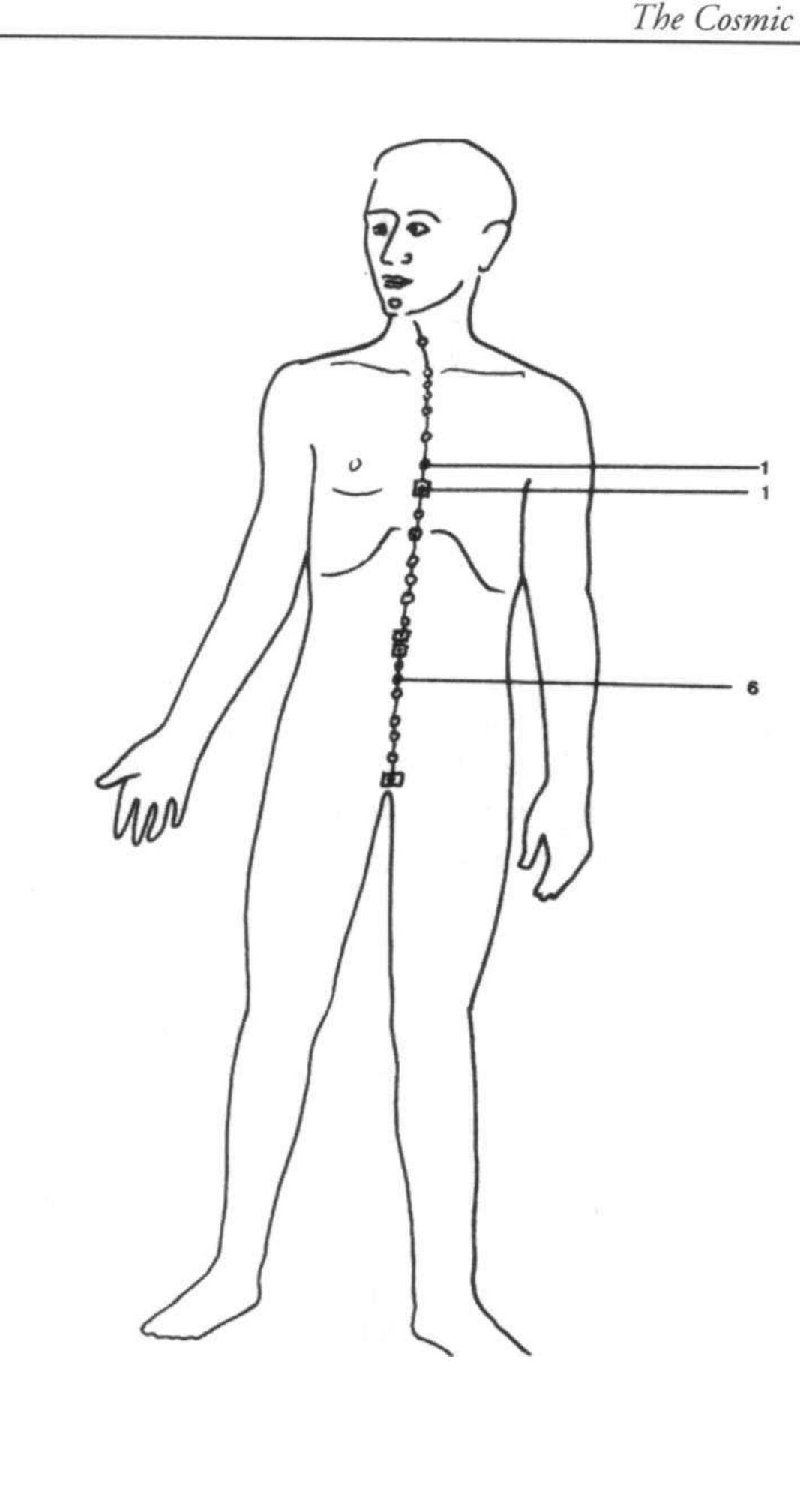 Figure 22 - The Cosmic Octave_The origin of harmony