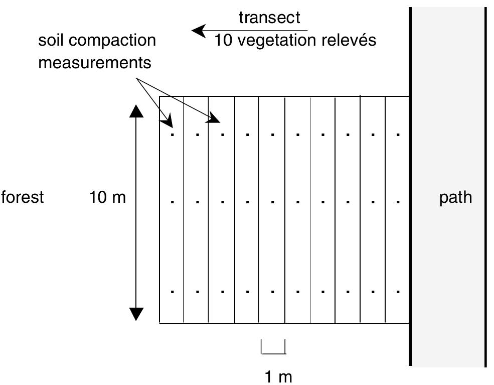 Diagram showing the sampling design used for the study of