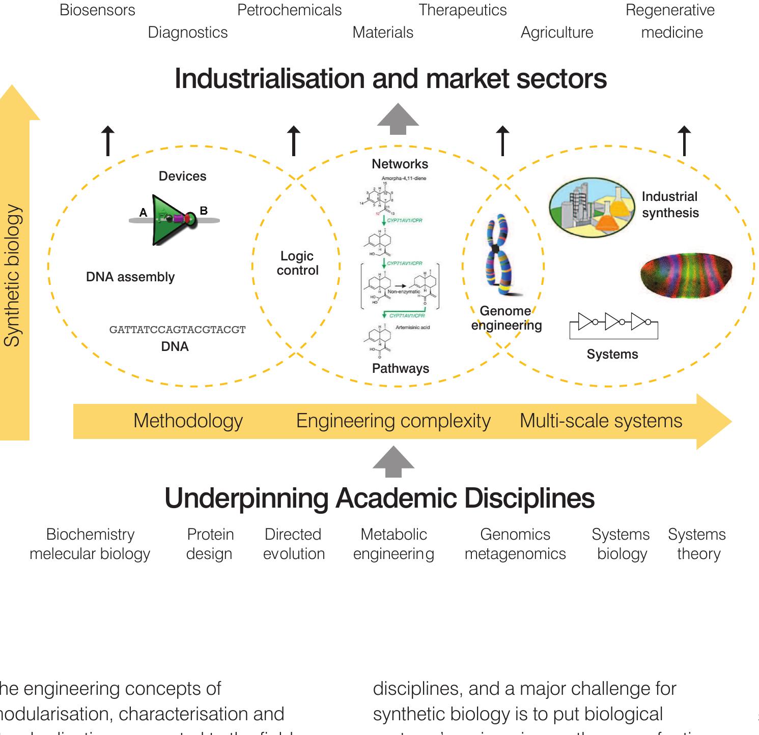 Figure 4 - A Synthetic Biology Roadmap for the UK