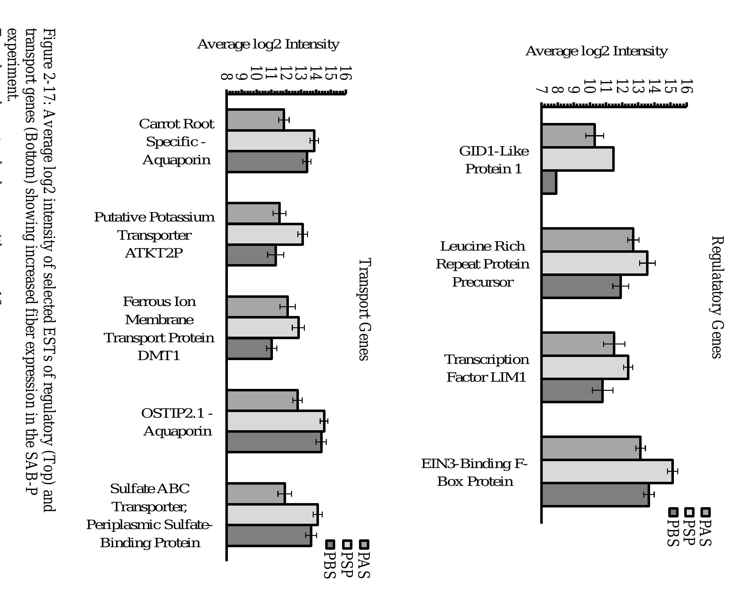 Figure 21 - Genetic Analysis of Lignification and Secondary