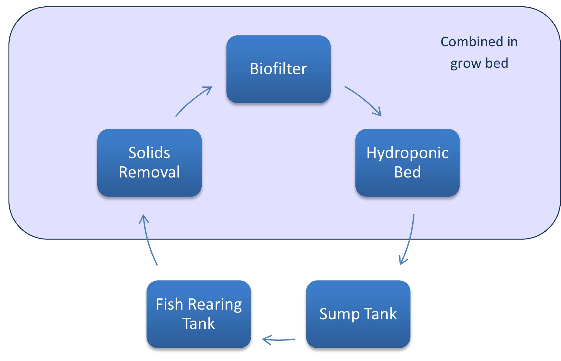 Hows the general flow of water in the aquaponic system.