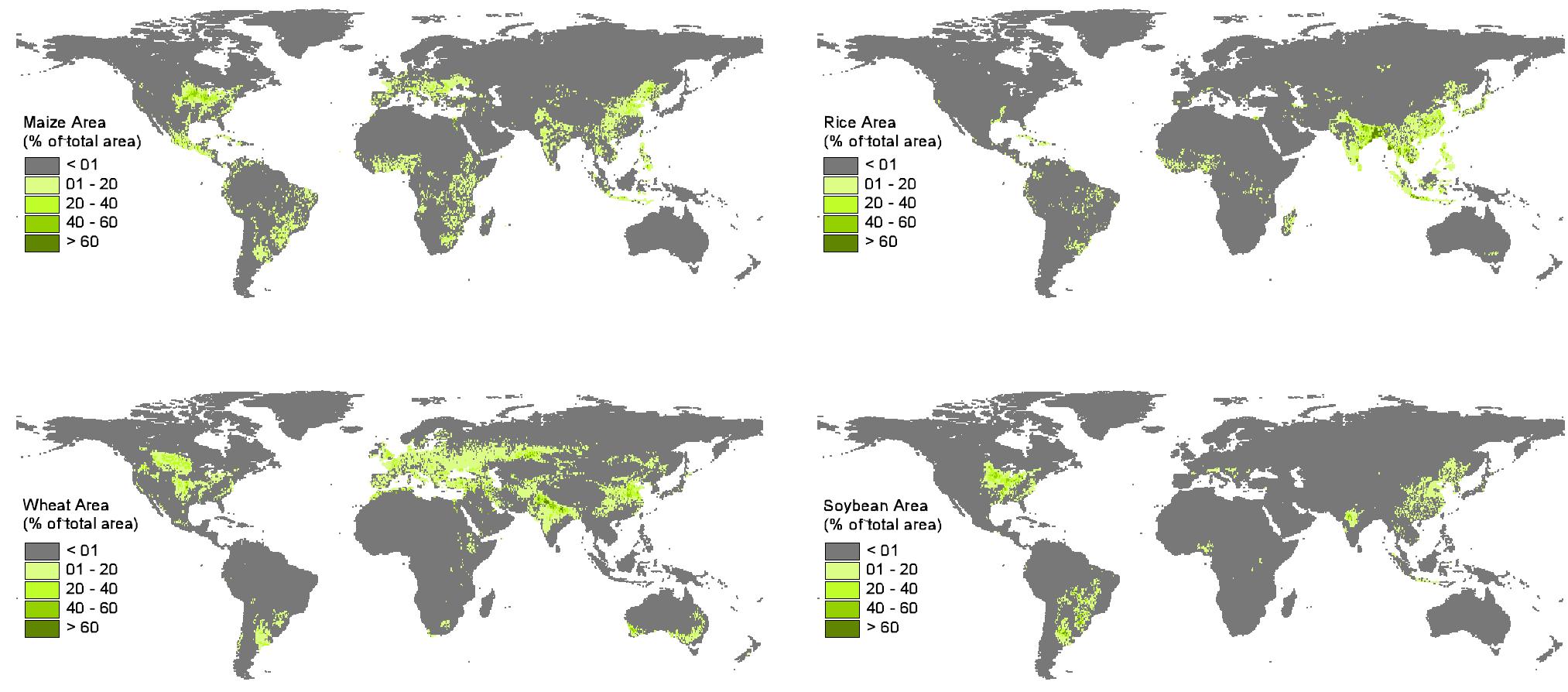 Crop areas. here we show only four (maize, rice, wheat, and