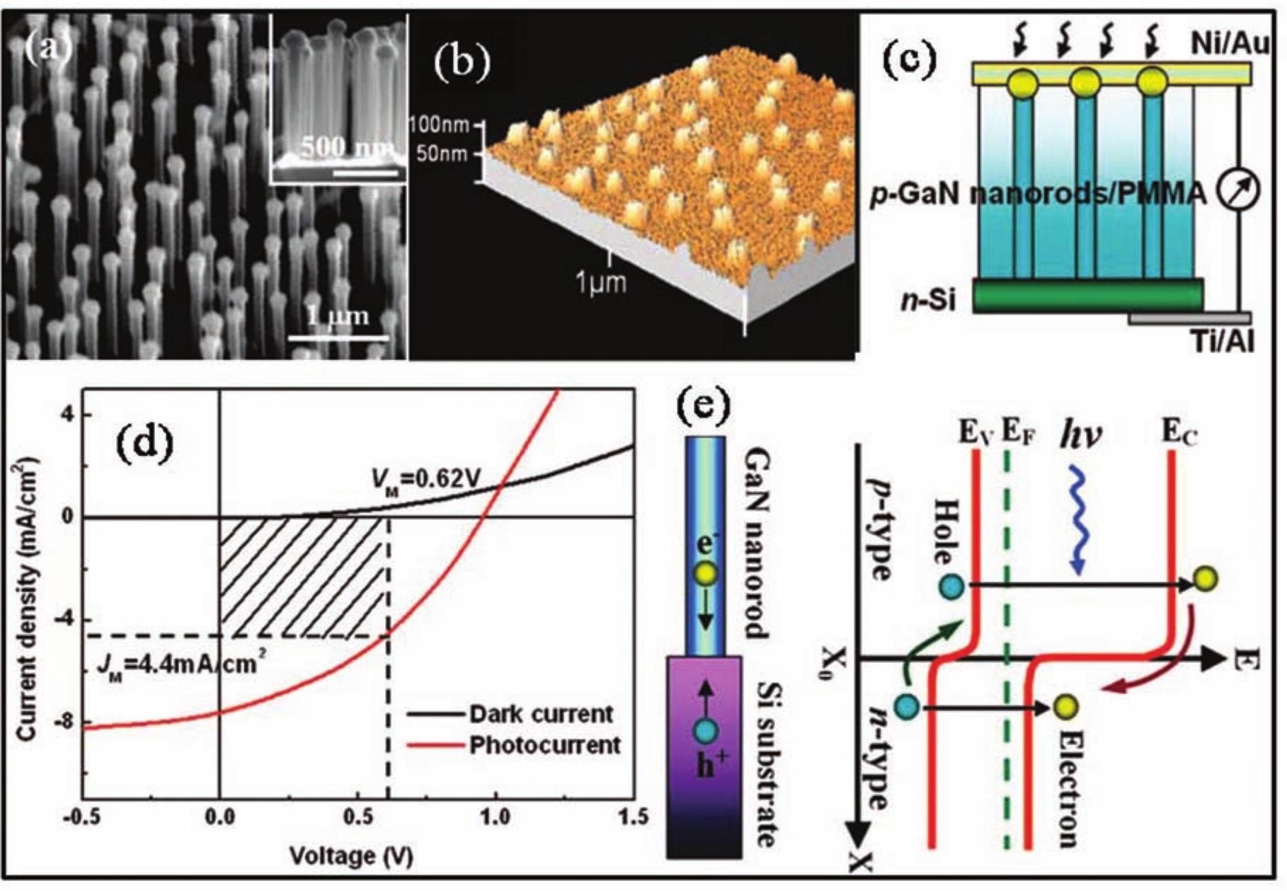 (18). (a) tilt top-view sem image of mg-doped gan nrs