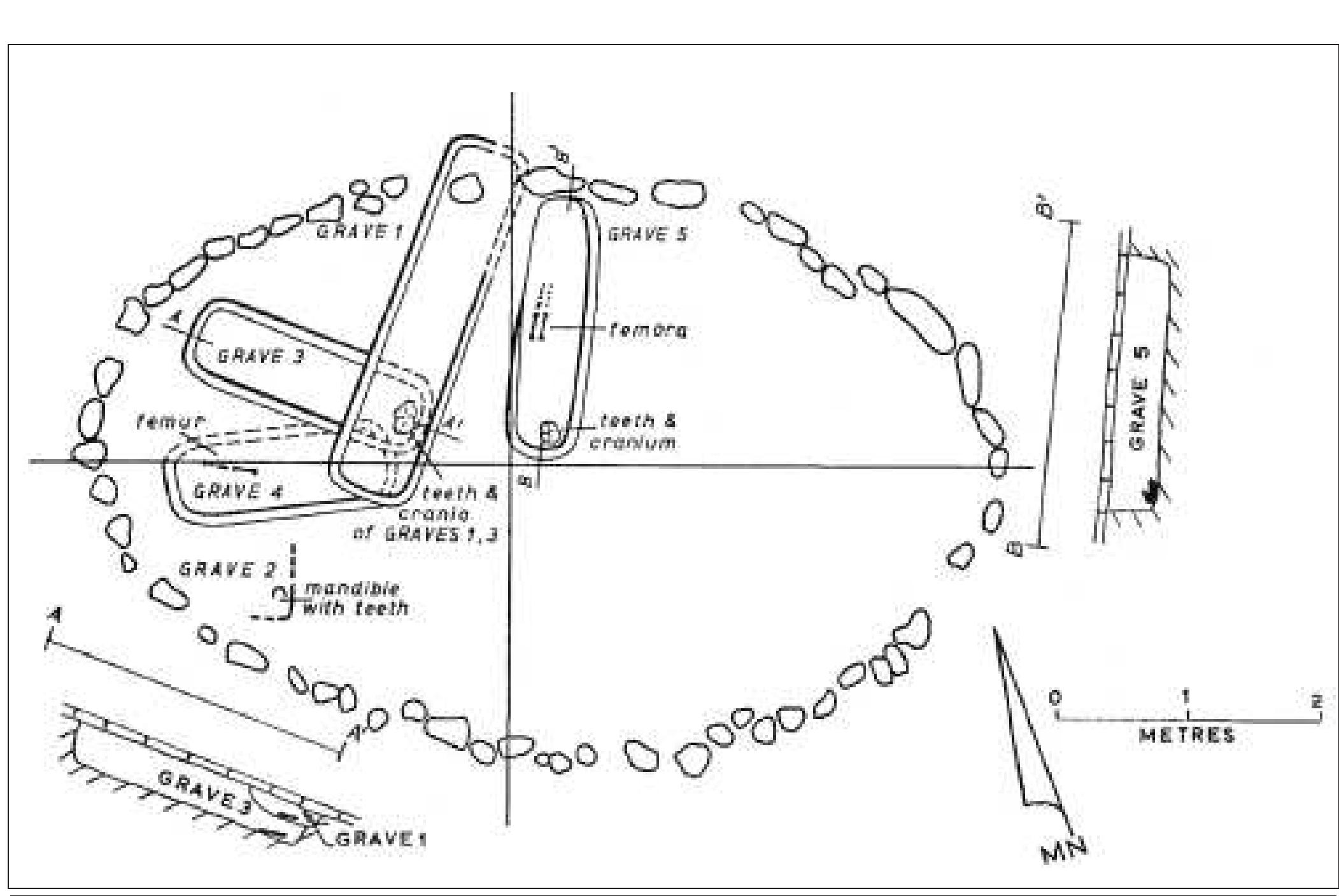 Plan of burials under a house at folasa (after green and