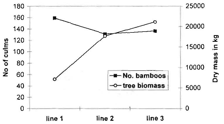 Comparison of bamboo culm density and tree biomass for each