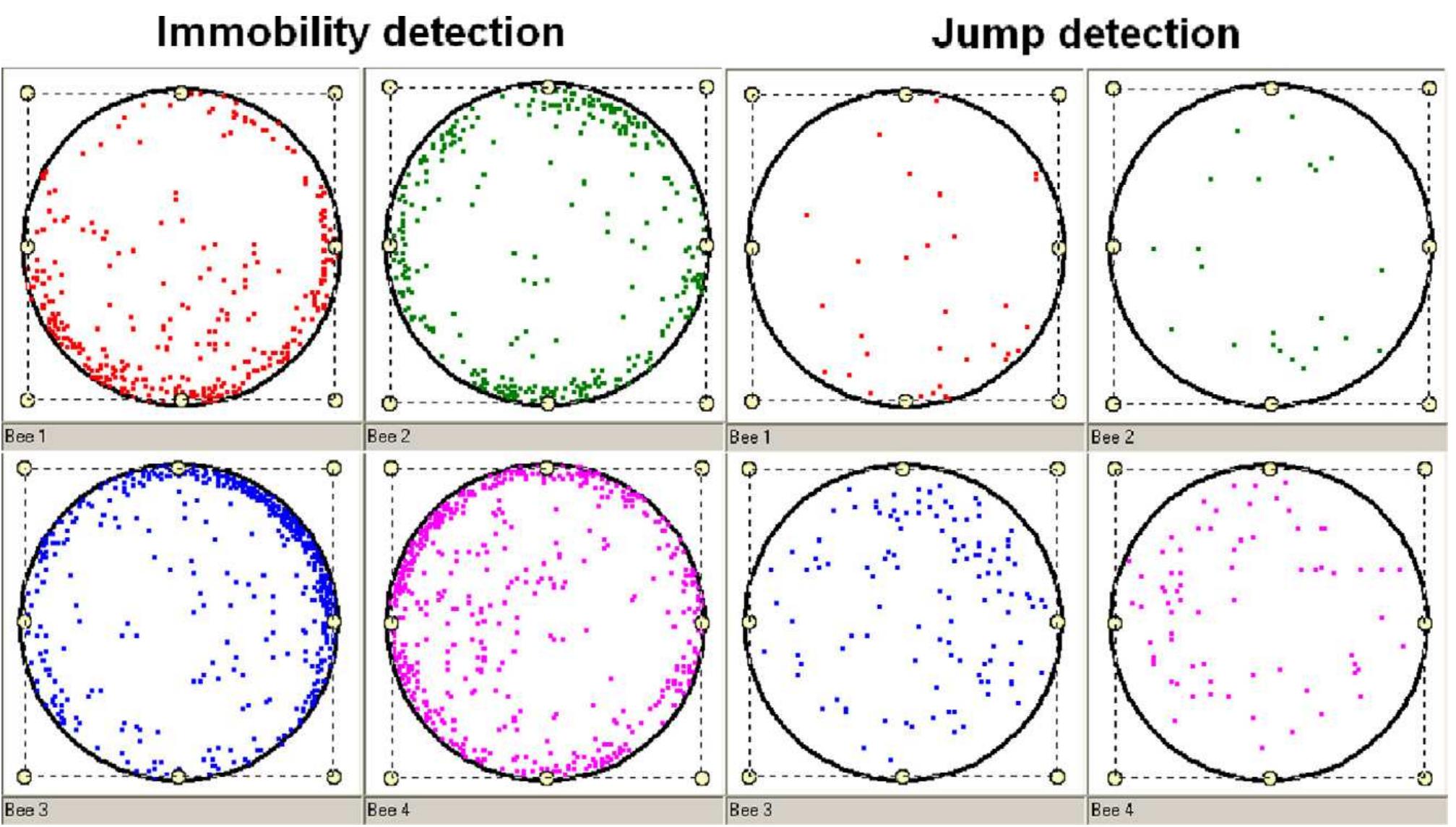 Figure 6 - "Beetrack": a software for 2D open field