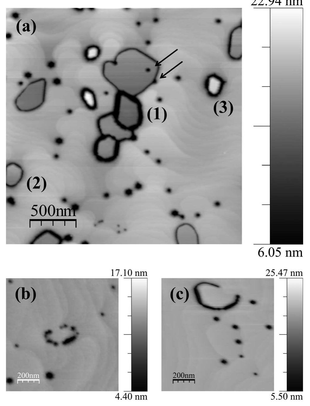 Afm scans showing (a) lowered-center (1), level-center (2)