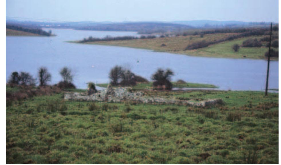 Figure 3 - from The gold beads from Tumna, Co. Roscommon