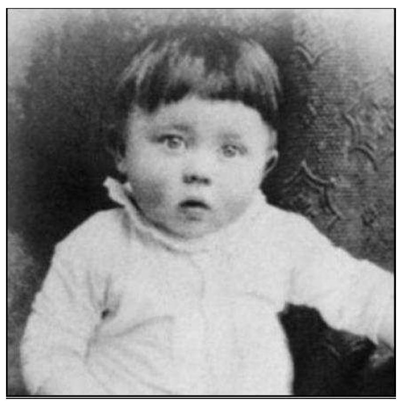 (PDF) Deliberative Oratory: Linguistic Analysis of Adolf Hitler's ...