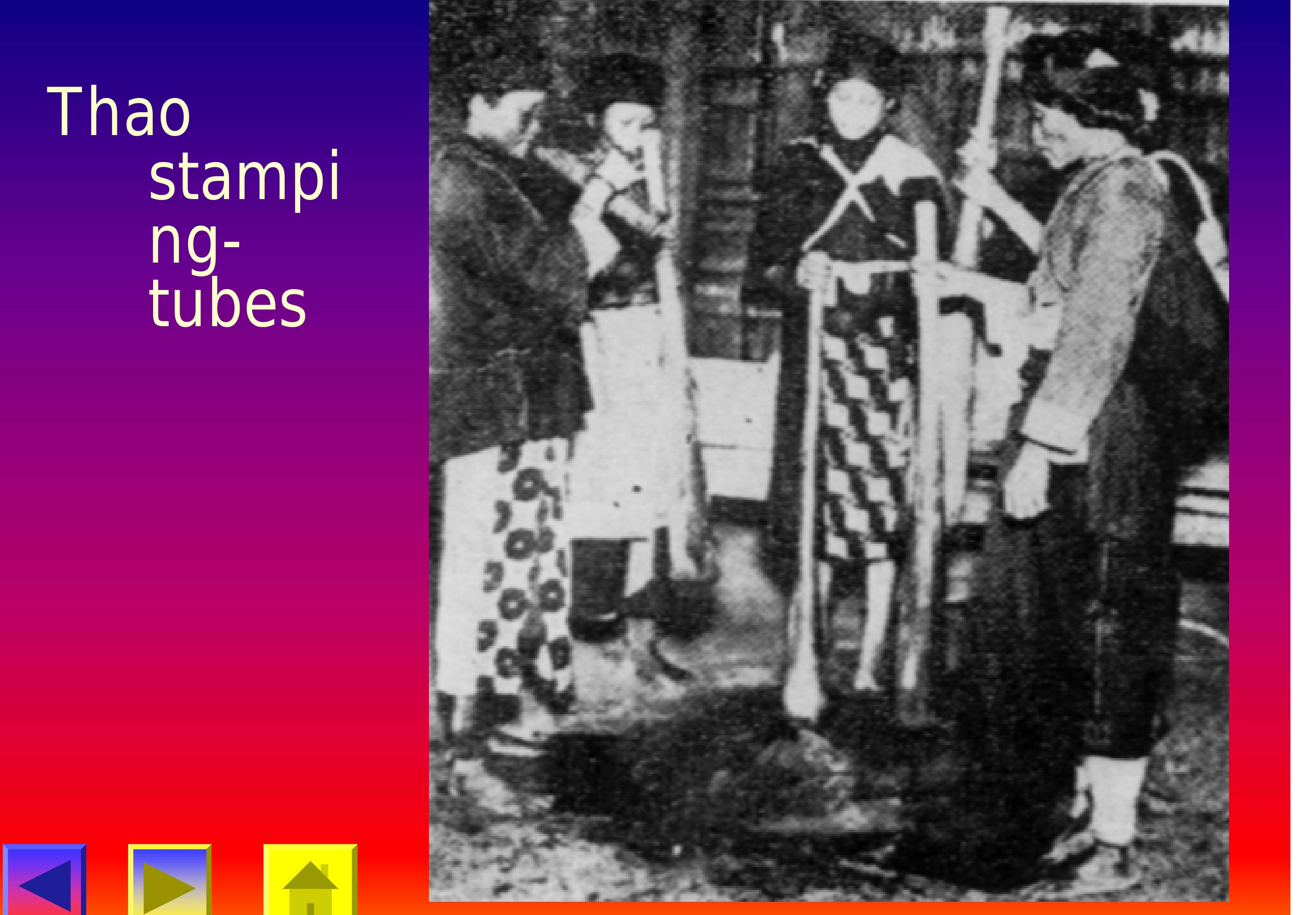 Figure 28 - Musical aspects of Austronesian culture