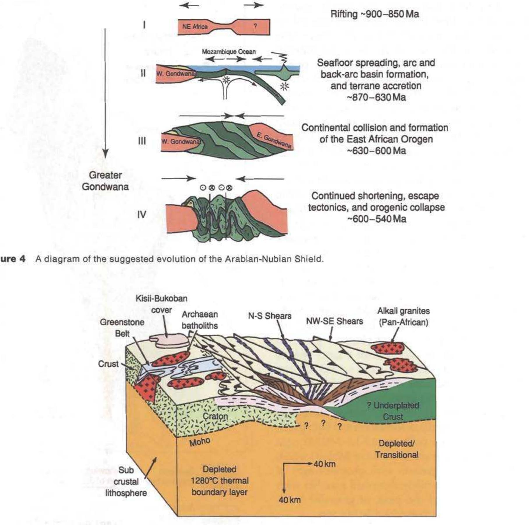 A schematic block diagram showing tectonic interdigitation