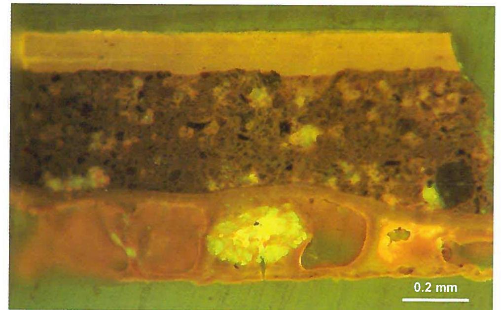 Cross-section of lacquer coating of chinese cabinet (fe.7-