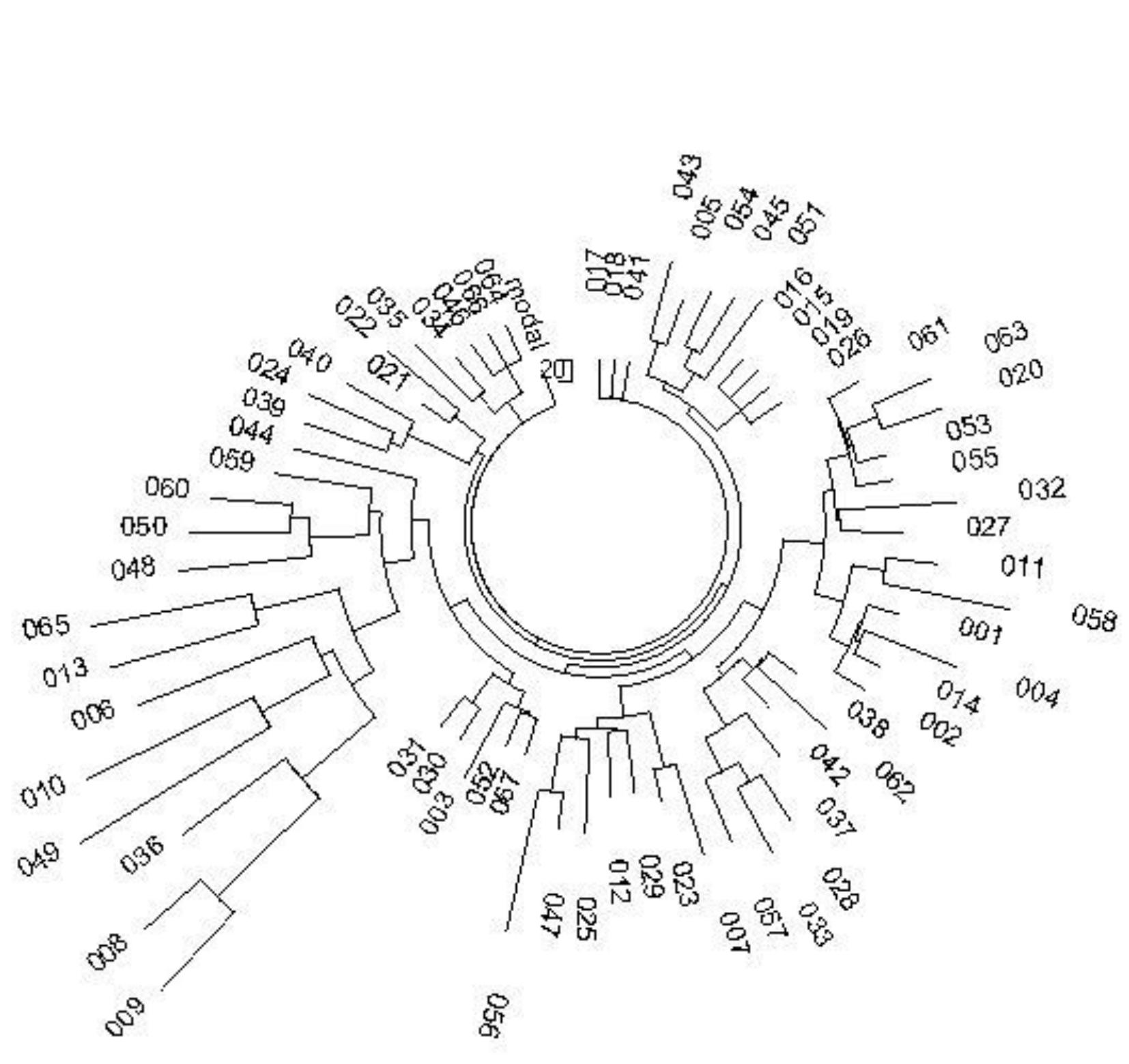 A series of 67 haplotypes of haplogroup r1a1 from the