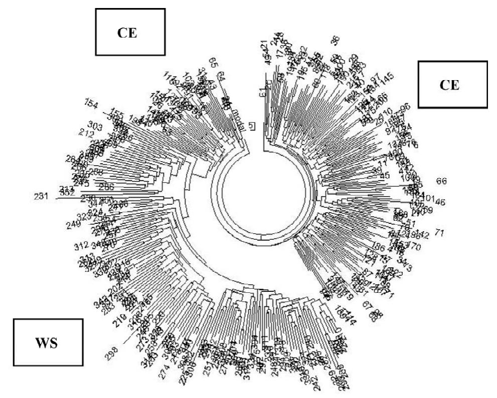 (PDF) Haplogroup R1a, Its Subclades and Branches in Europe during the ...