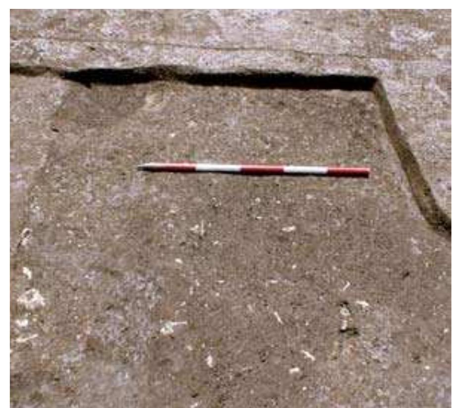 -1: pitted area with remains of mud-brick walls.