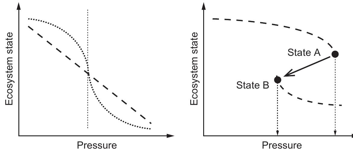 Conceptual diagram showing possible ecosystem responses to