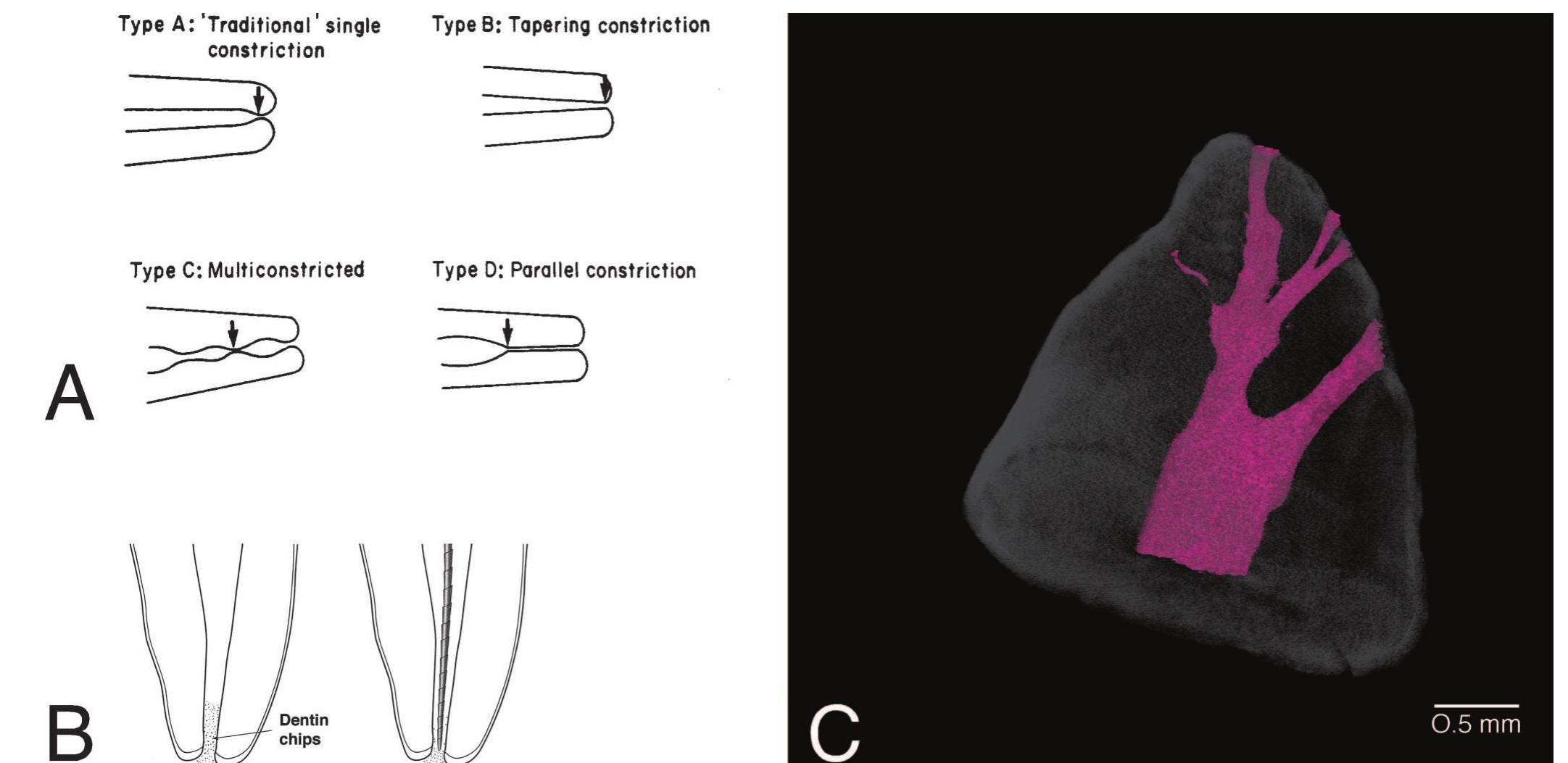 (PDF) 2004 Peters - Current Challenges and Concepts in the Preparation ...