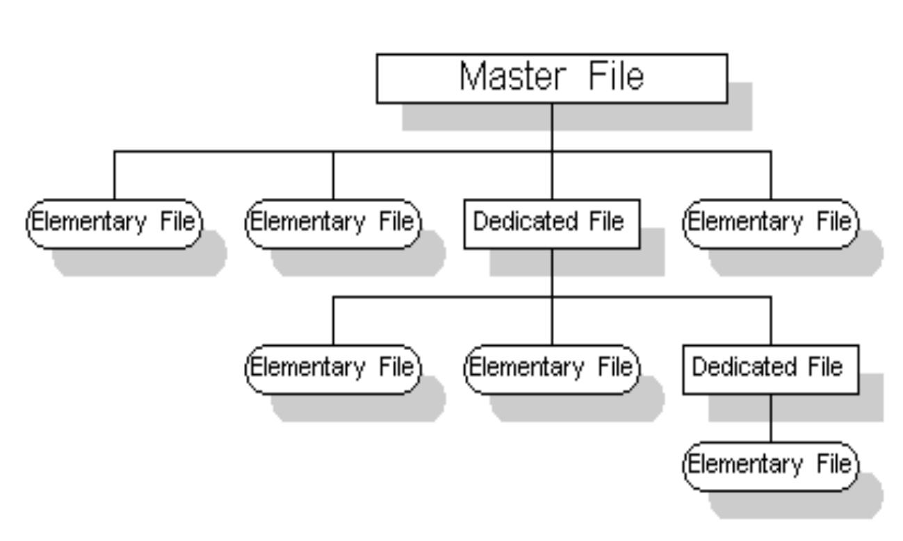 Logical file structure of smart card