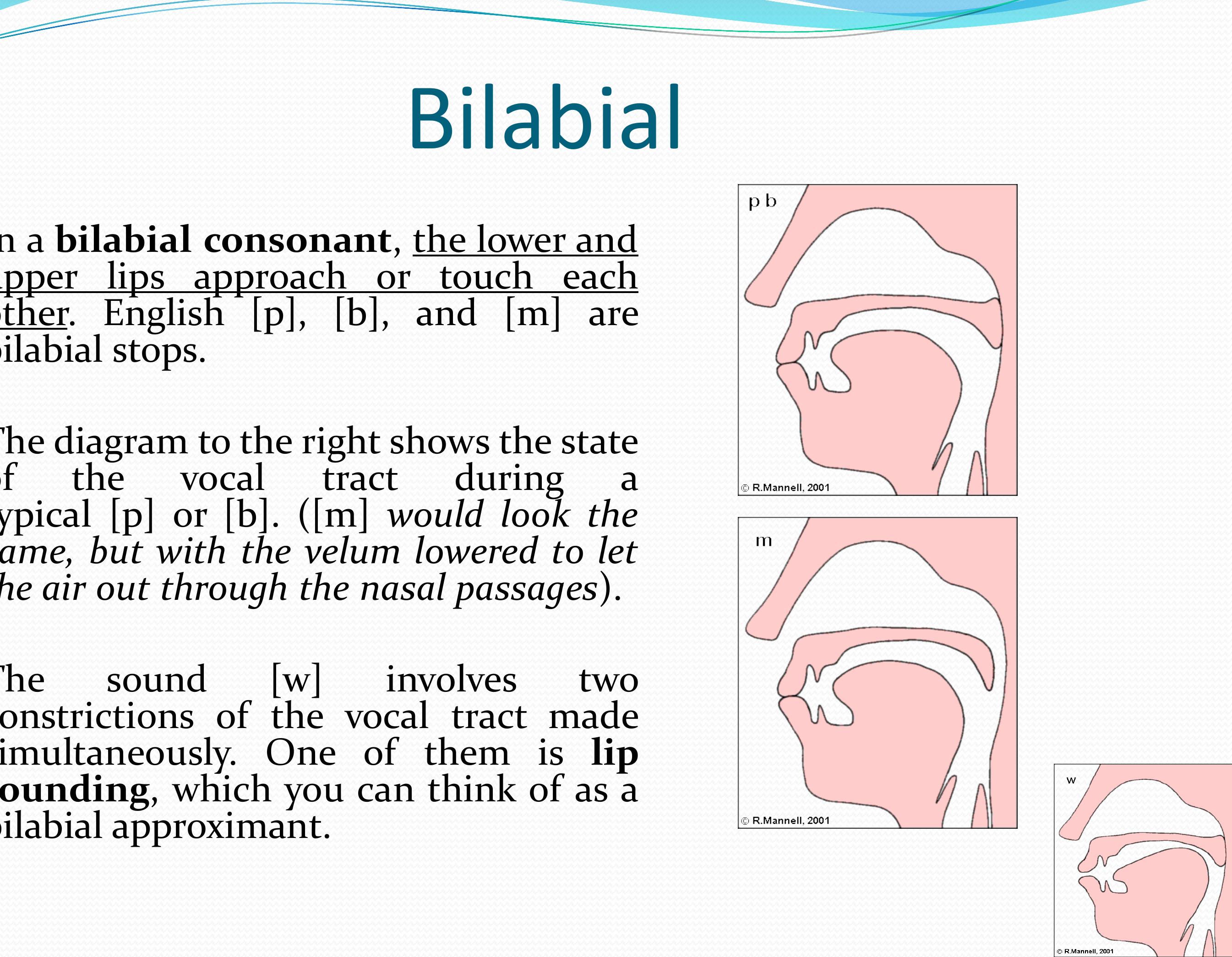 Figure 2 - Place of Articulation