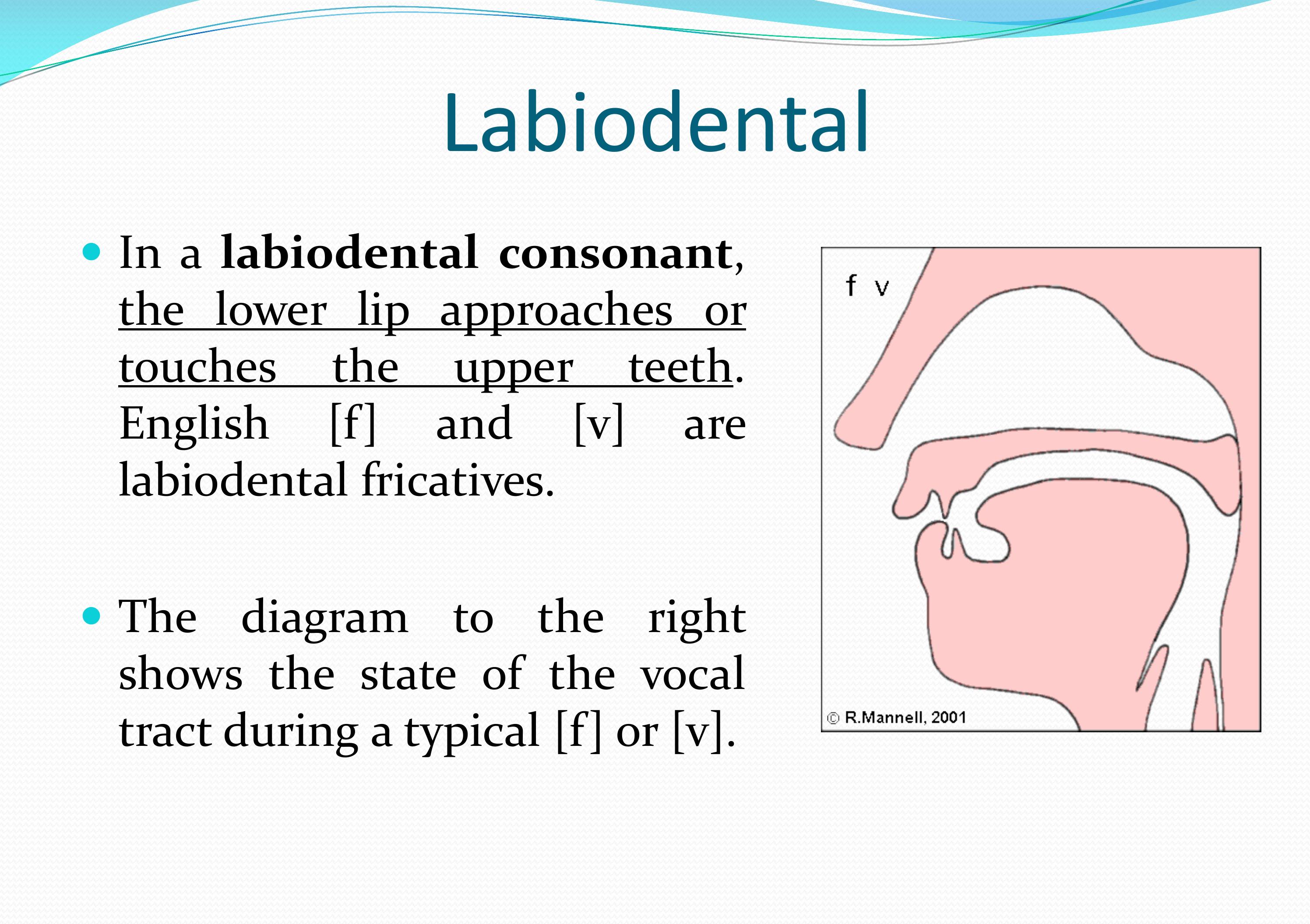 (PDF) Place of Articulation