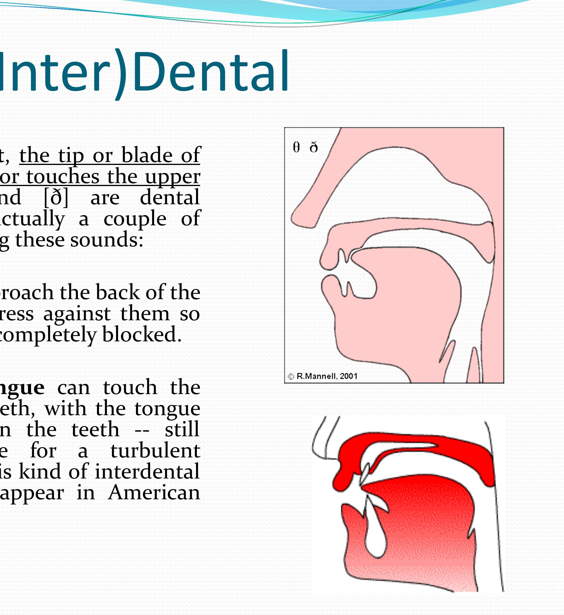 Figure 4 - Place of Articulation