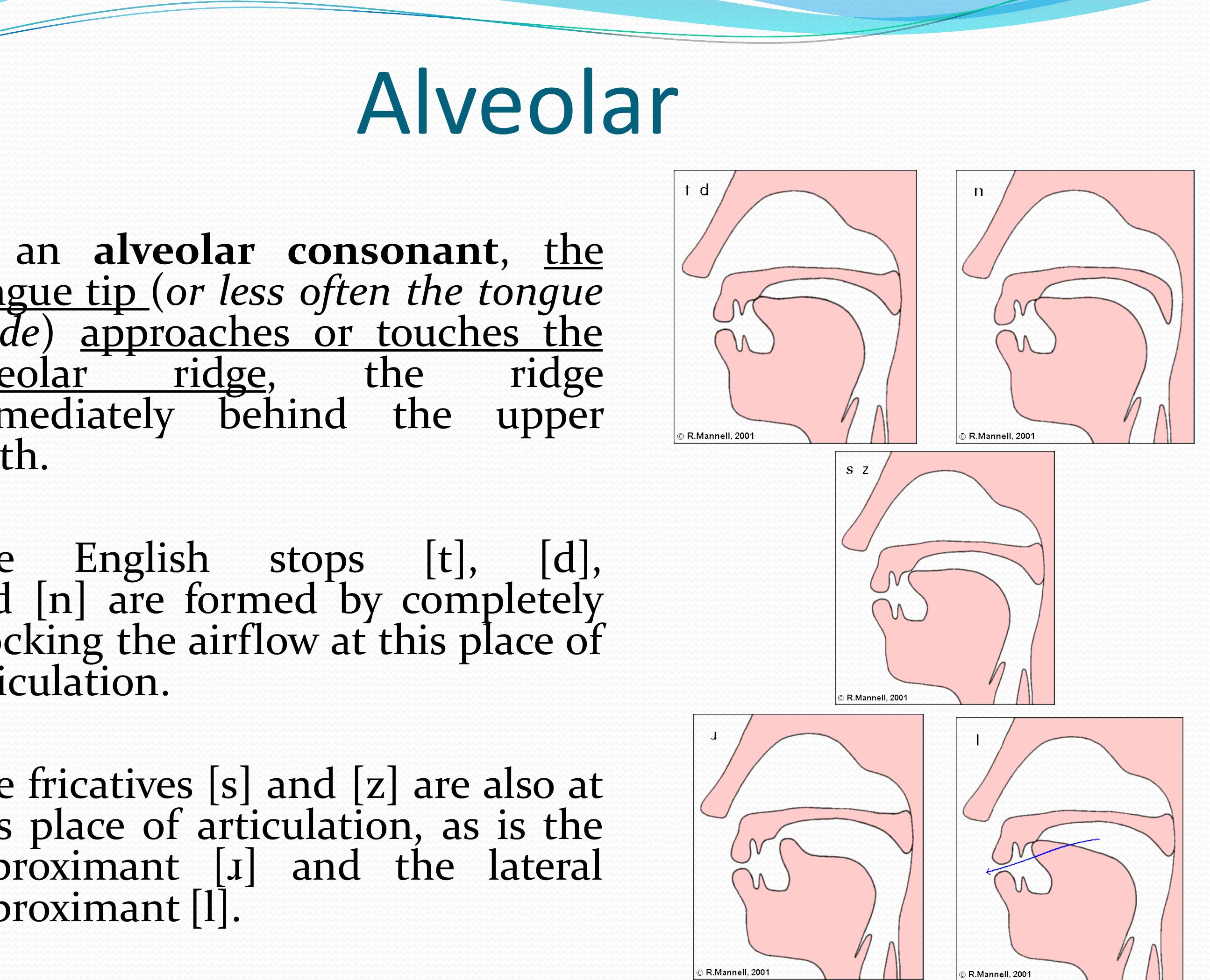 Figure 5 - Place of Articulation