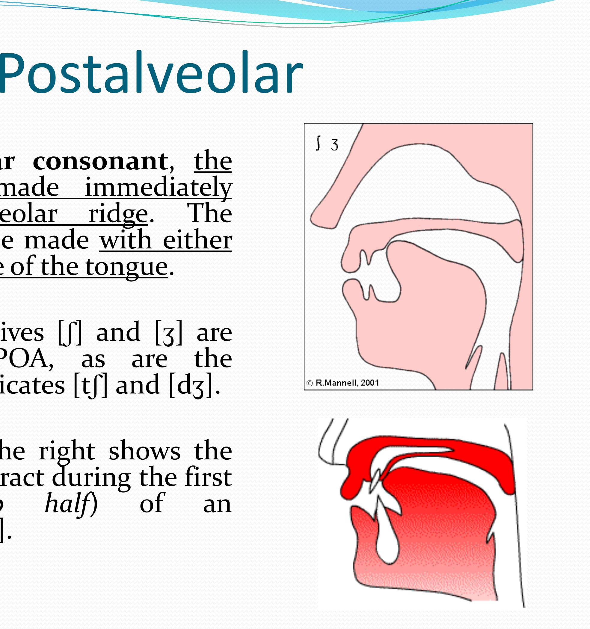 (PDF) Place of Articulation