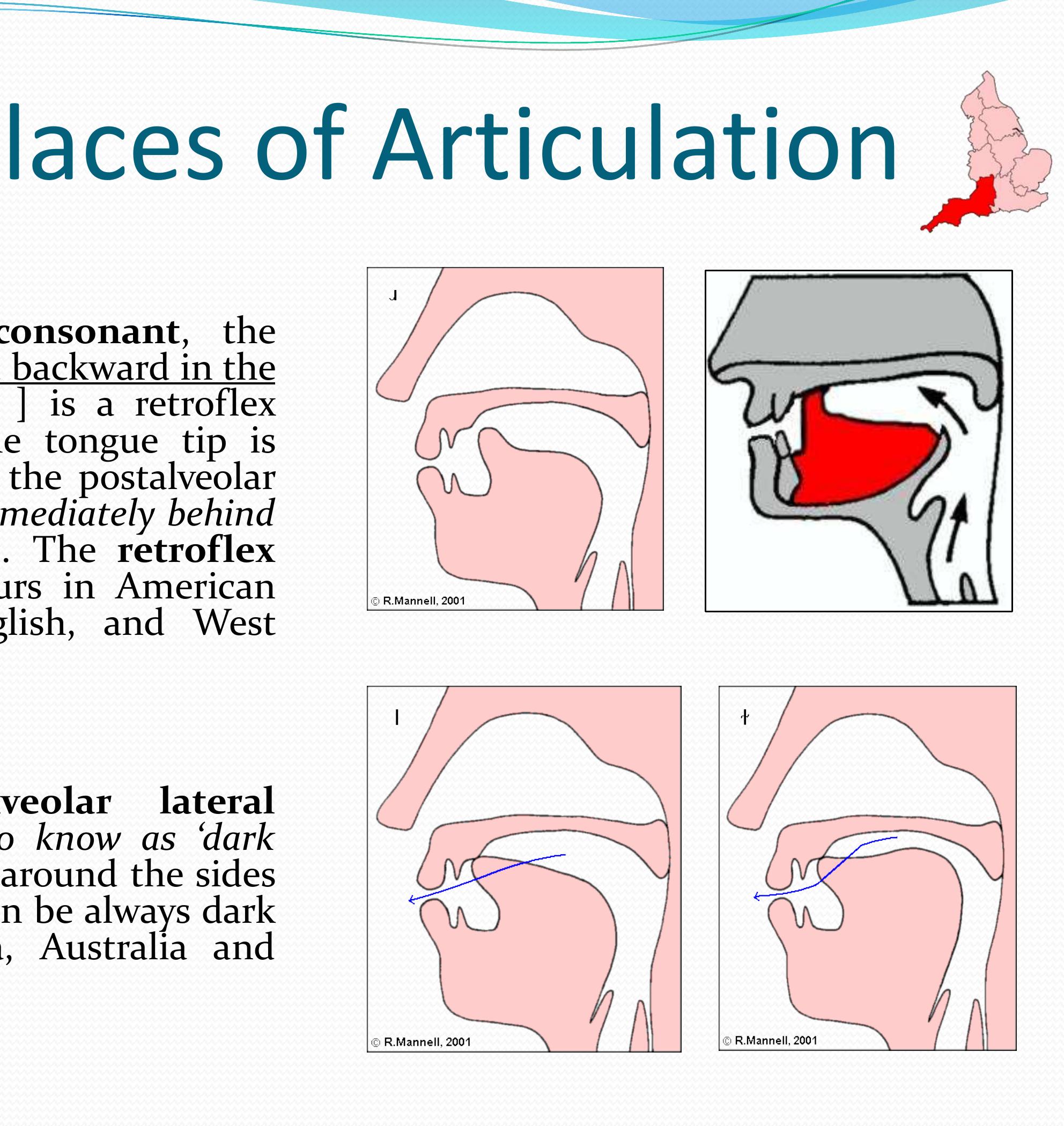(PDF) Place of Articulation