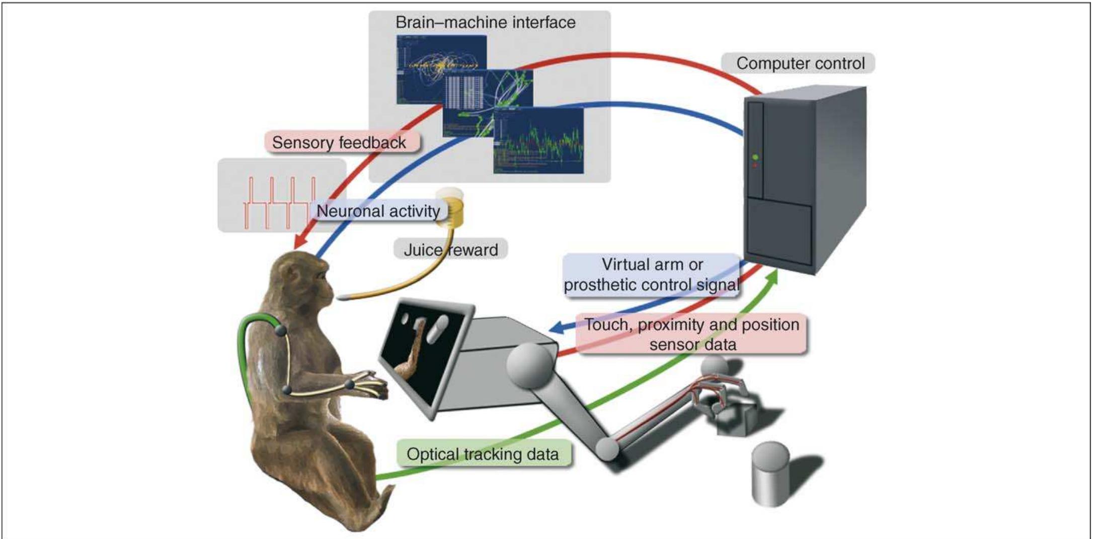 (PDF) Brain–machine interfaces: past, present and future